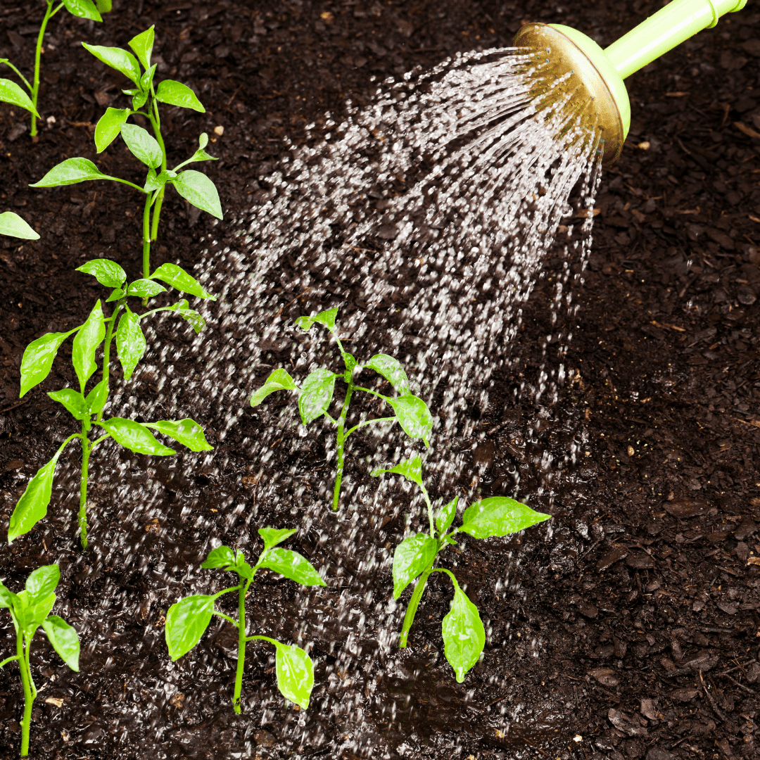 5 Key Benefits of Regular Well Inspection in Leicester, NC - Ace Well ...